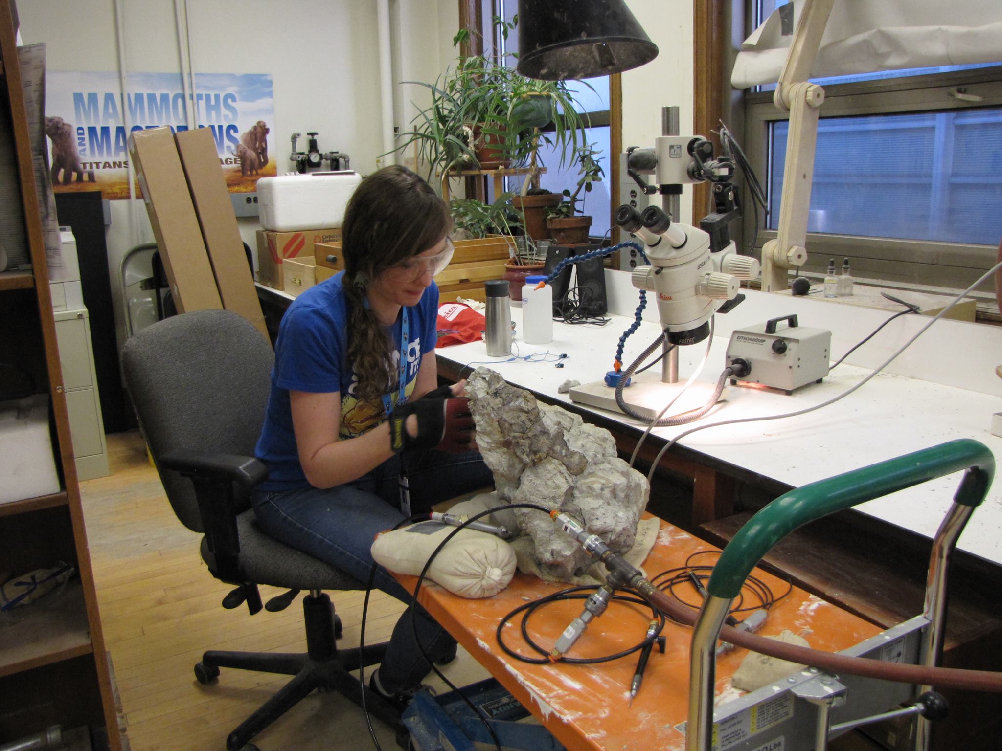 Sarah Z. Gibson – Paleontologist, Geologist, Ichthyologist, and Educator